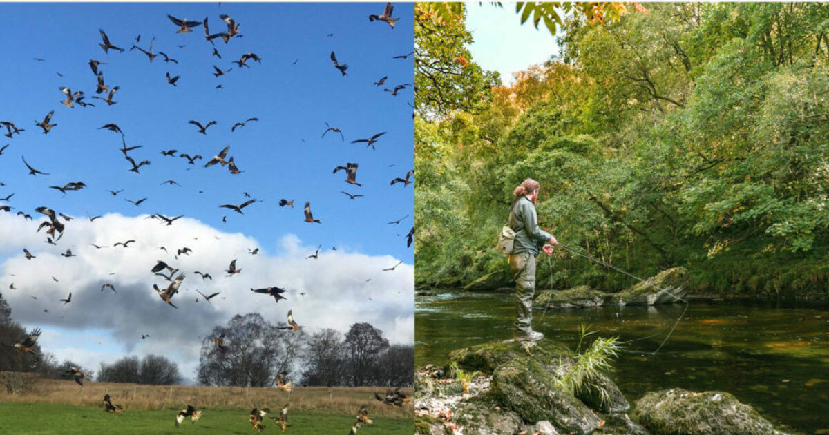 Rhayader - The outdoors Capital of Wales | Explore