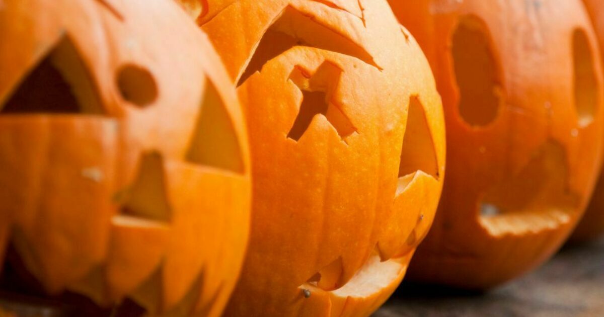 Rhayader - The outdoors Capital of Wales | Pumpkin Carving at Elan…