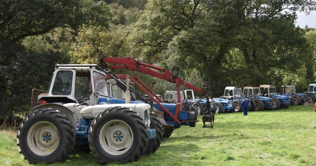 Rhayader - The outdoors Capital of Wales | Nantmel Show 2023